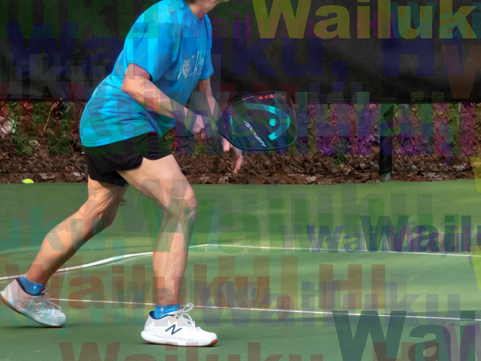 Wailuku HI Pickleball Courts & Beginner Clinics